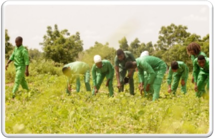 Federal University Of Health Scienec Otukpo