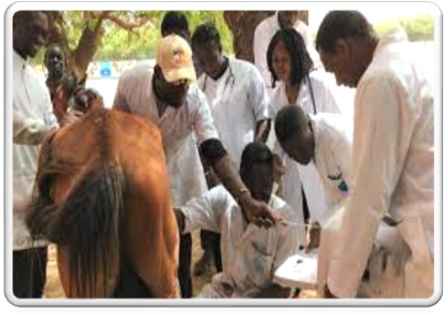 Federal University Of Health Scienec Otukpo